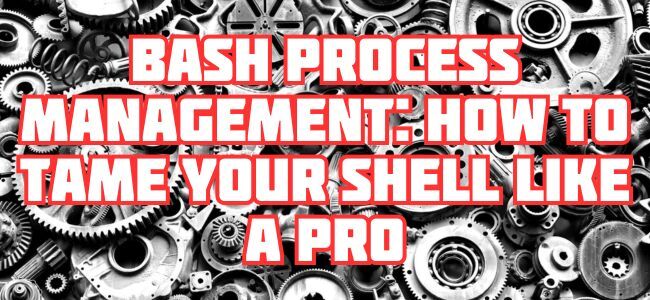 ITLDC • Bash Process Management: How to Tame Your Shell Like a Pro